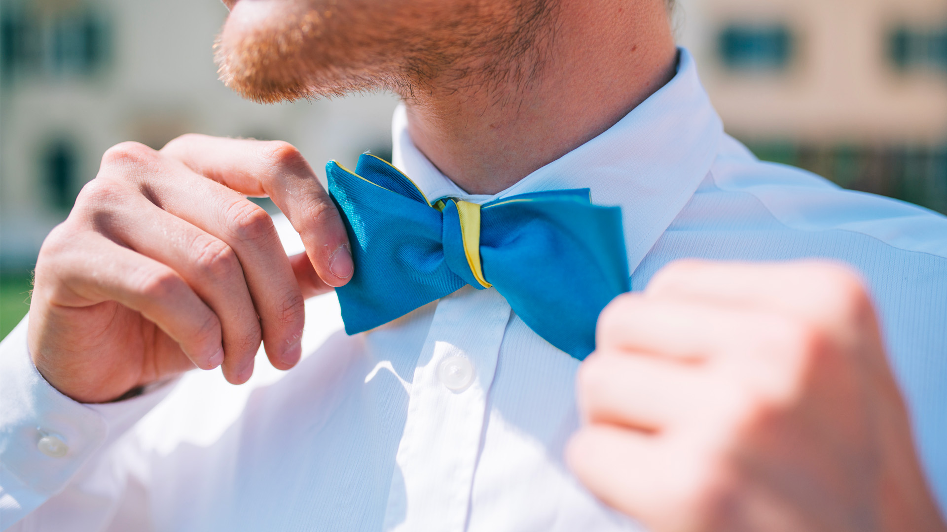 Papillon: storia, evoluzione e abbinamenti - Sartoria MadameFLO